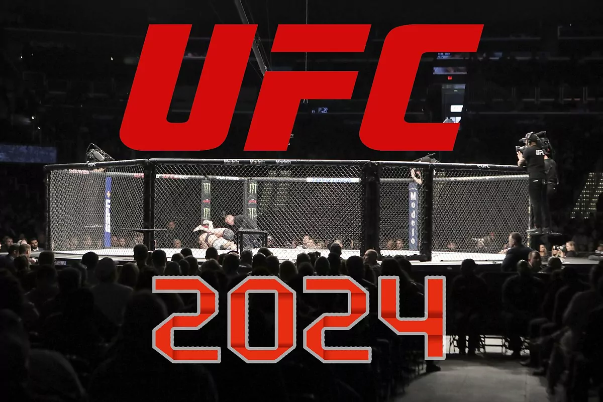 ufc 2024