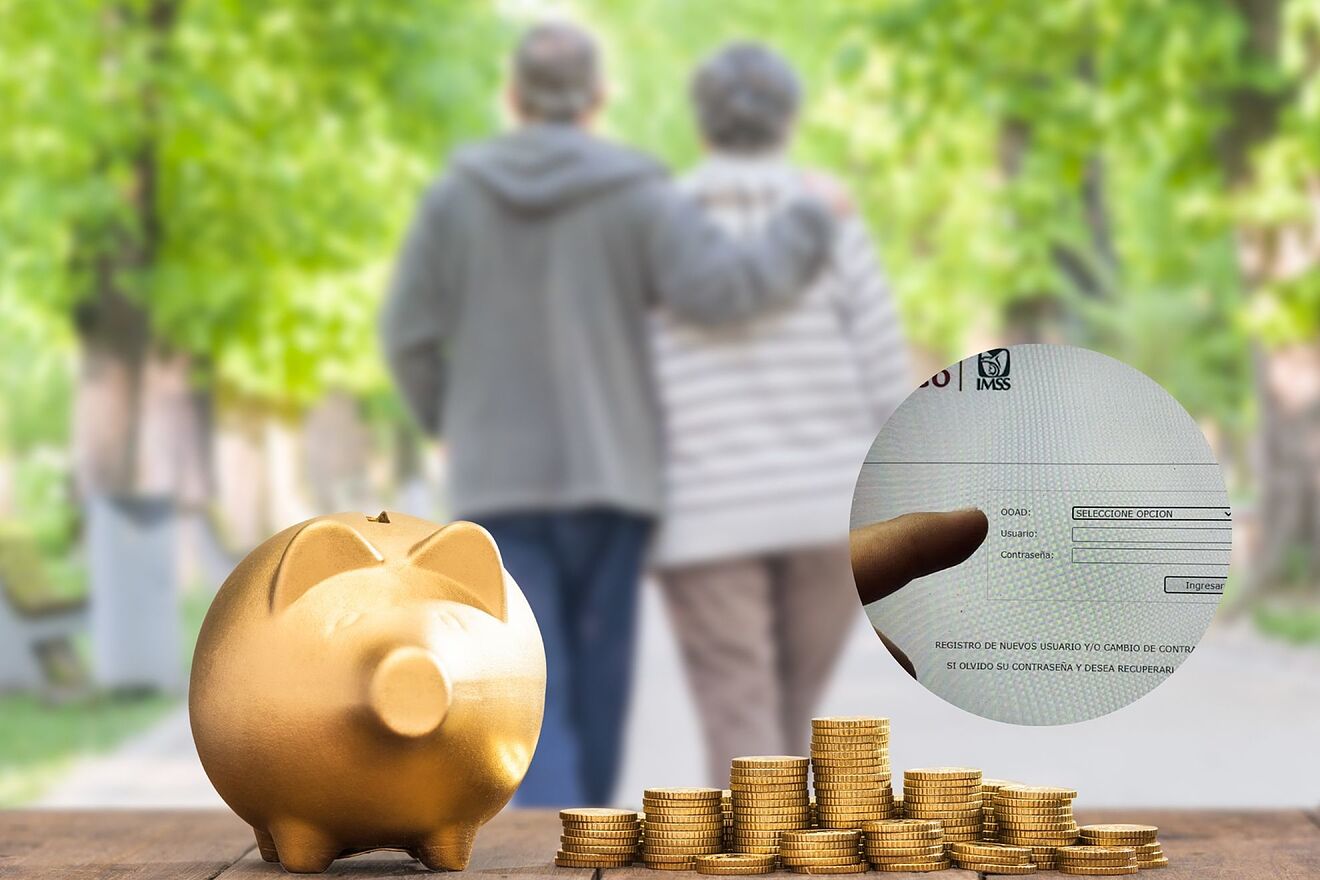 Tarjetón digital IMSS jubilados 2025: ¿Cómo descargarlo en línea ...