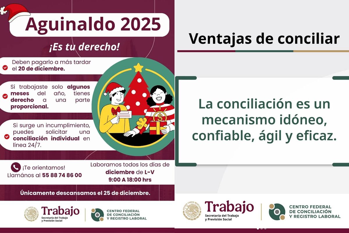 ¿Qué hacer si no recibes tu aguinaldo y cómo exigirlo legalmente según ...