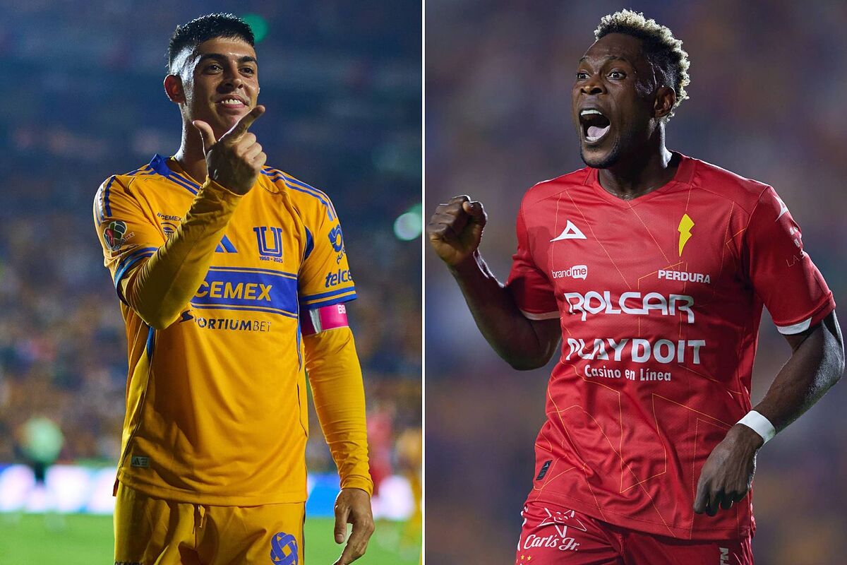 Tigres - Necaxa: Resumen y goles Tigres vs Necaxa: Brunetta se impone ...